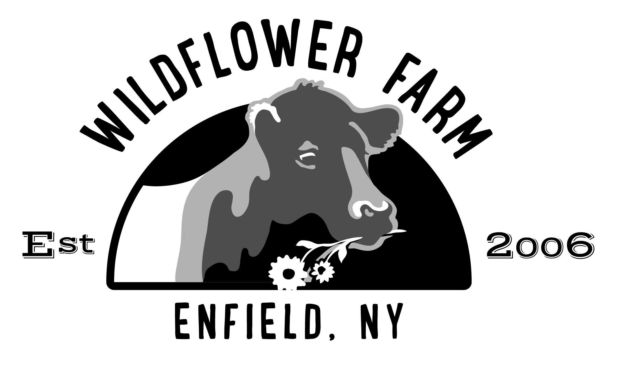 About our Farm – Wildflower Farm